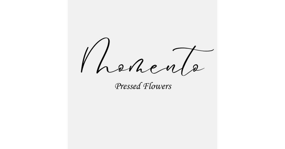 Pressed Flowers Frames – Momento Pressed Flowers